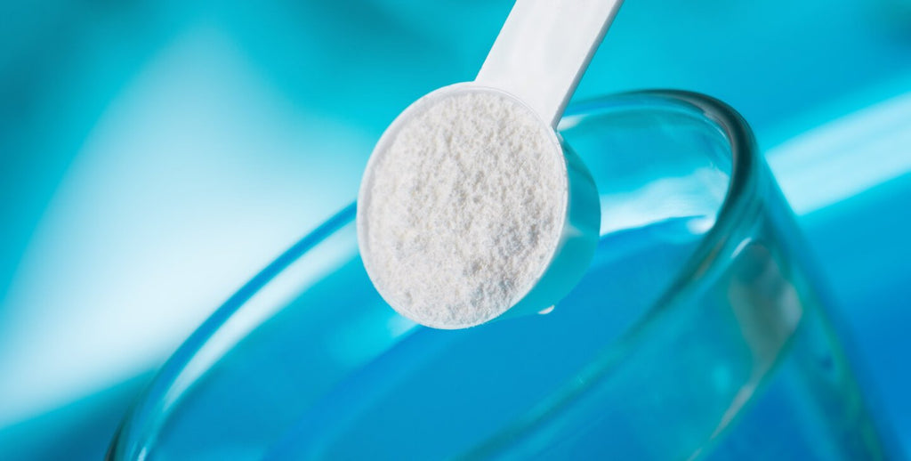 Will Creatine Amplify Your Training?